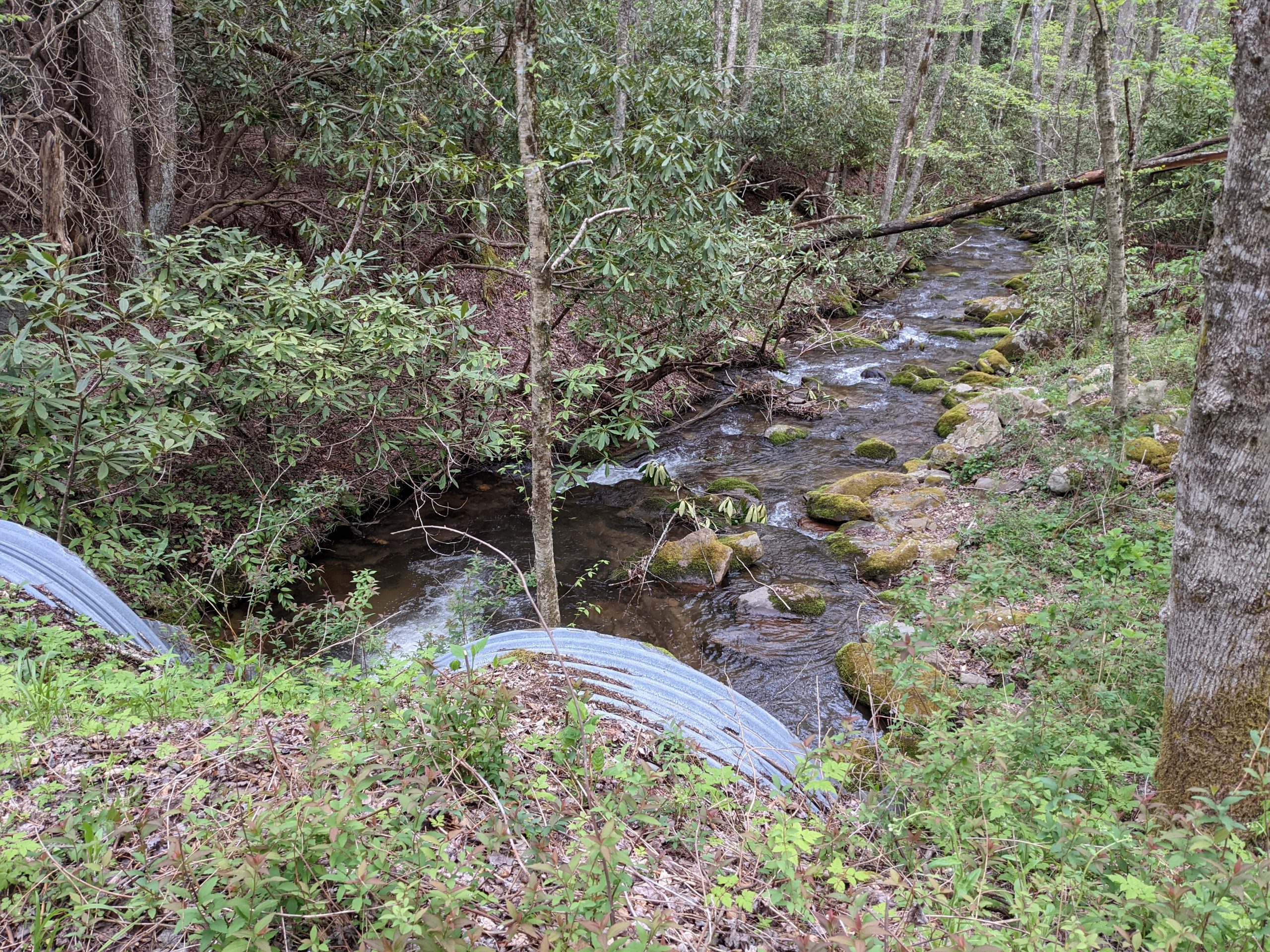Trail Fork Site Visit for Stream Crossing Improvements - Cherokee ...
