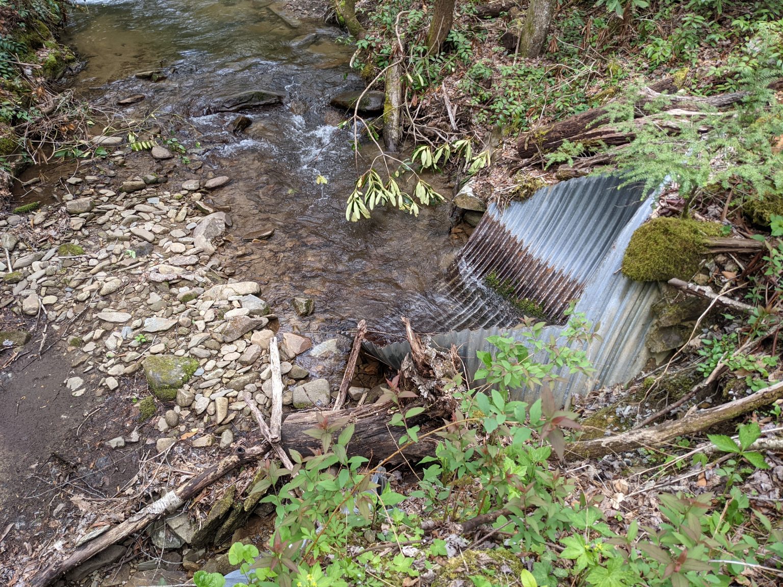Trail Fork Site Visit for Stream Crossing Improvements - Cherokee ...